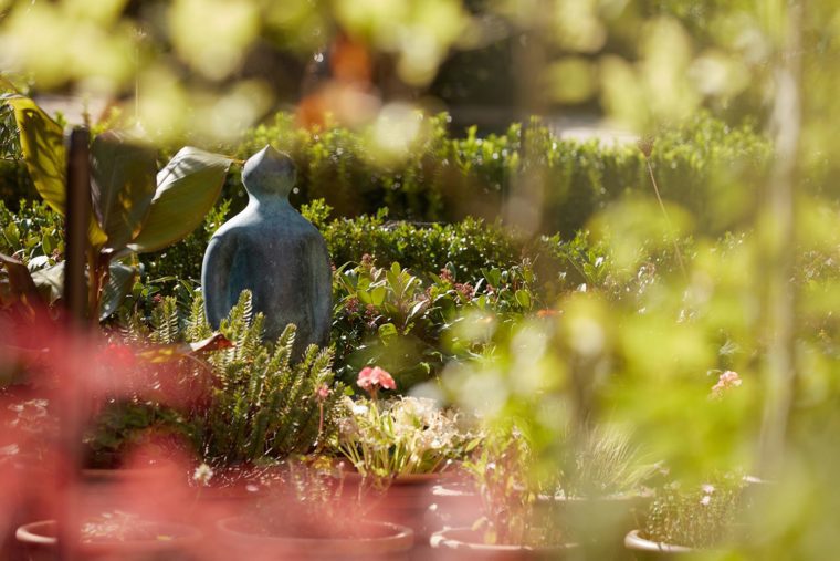 Lynne Bridge - meet the designer - Selby Landscapes Journal